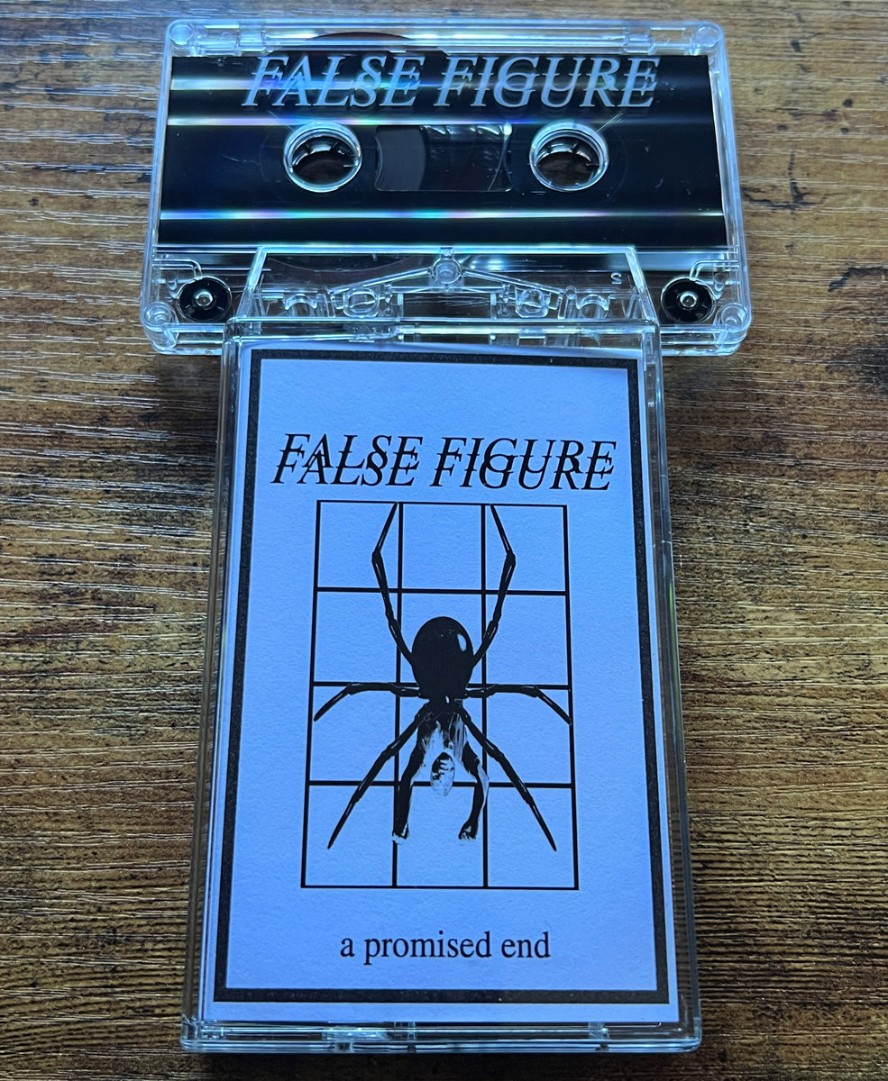 FALSE FIGURE - A PROMISED END | FALSE FIGURE | Transylvanian Recordings