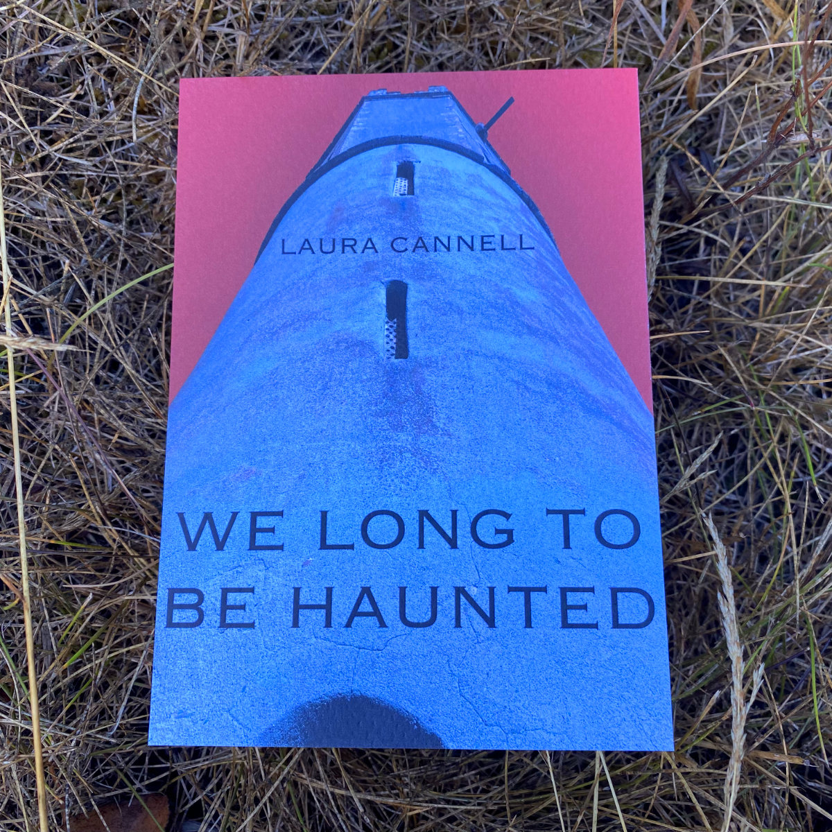 WE LONG TO BE HAUNTED | Laura Cannell | Brawl Records