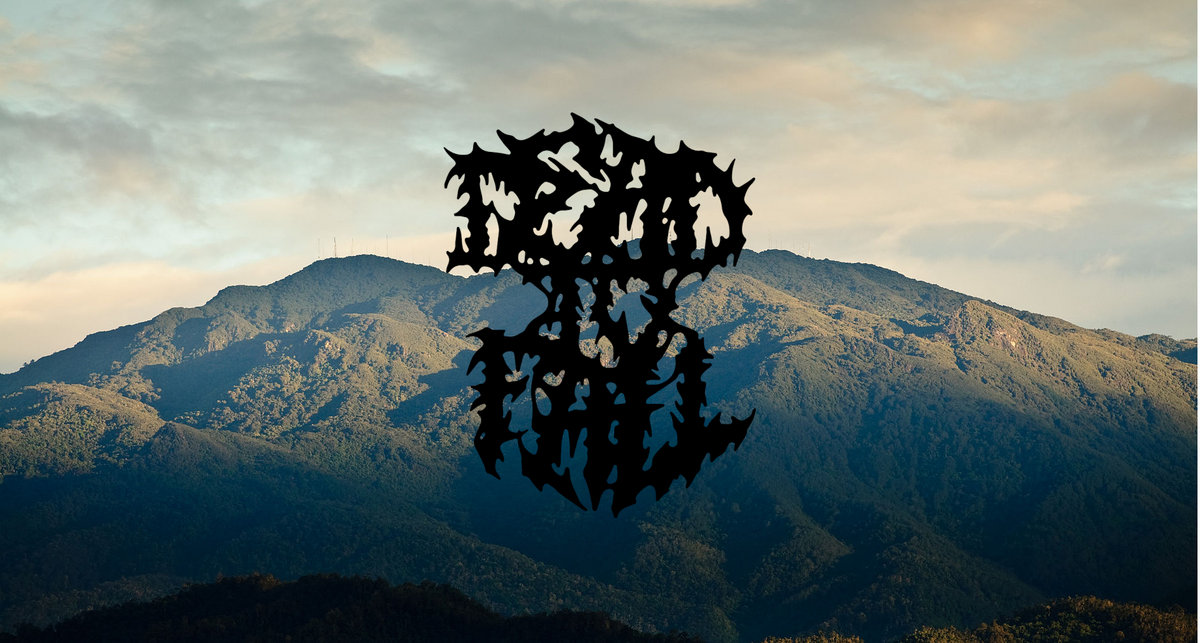 Empire of Pines | Dead To Fall