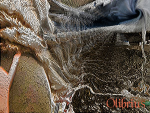 Music | Olibrius