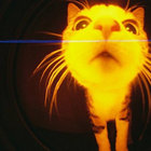 The Patient Demos | Blacklit Canopy