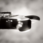 Wild Light | 65daysofstatic | Bird's Robe Records