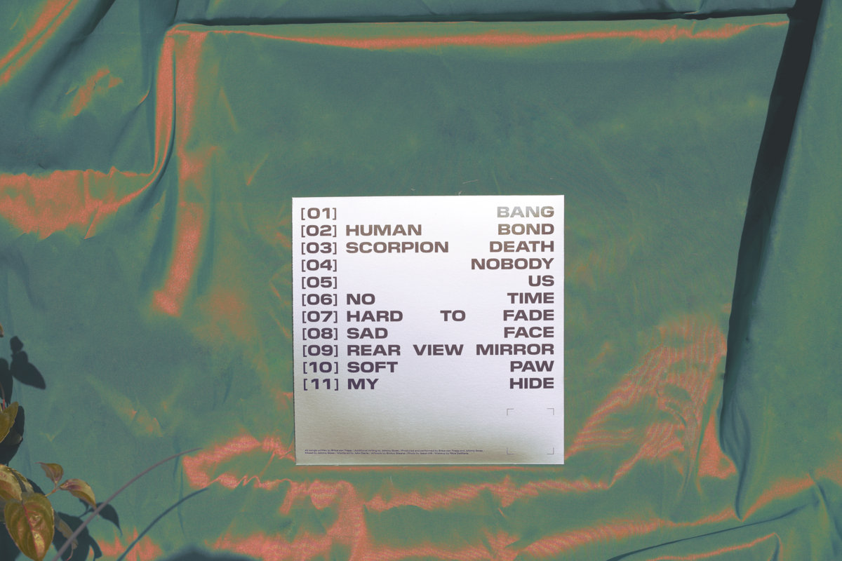 shshshsh | Jane Machine