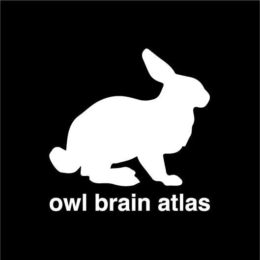 New Helicopter | Owl Brain Atlas