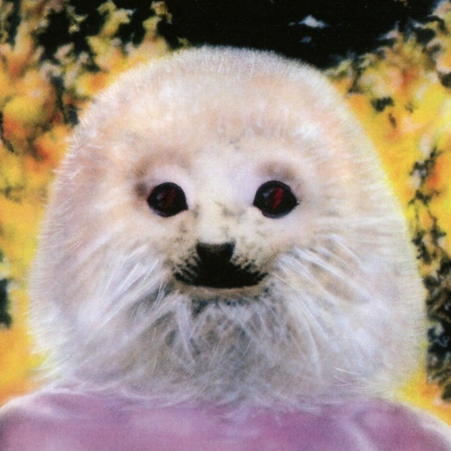 justin-farrar's collection | Bandcamp