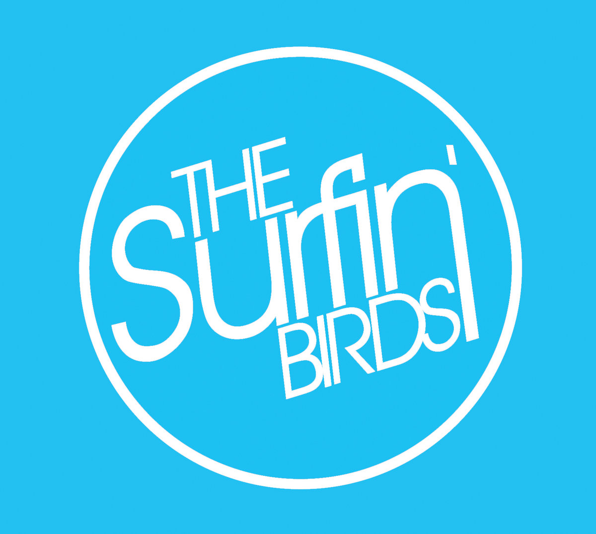 The Surfin' Birds LP | The Surfin' Birds