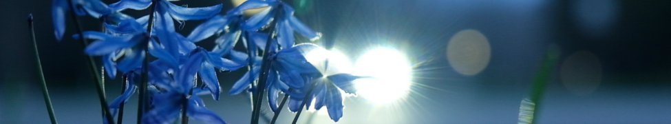 Nascent | Alexander Panos