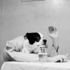 HOPE LEFT ME (Complete Version) | Astrophysics