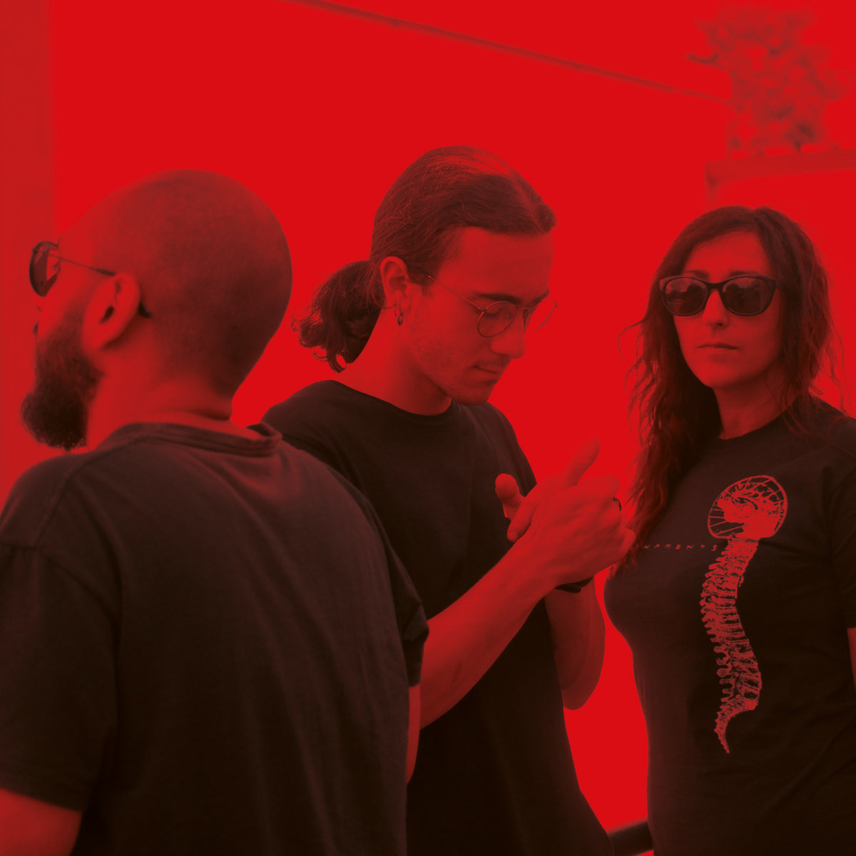 Viaggio Premio | Boonekamp