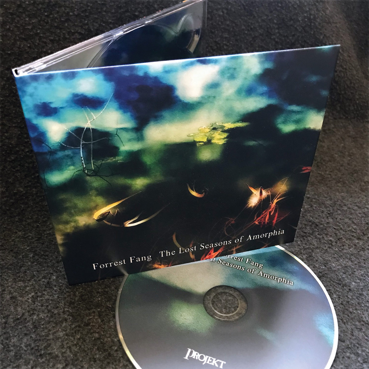 The Lost Seasons of Amorphia | Forrest Fang | Projekt Records