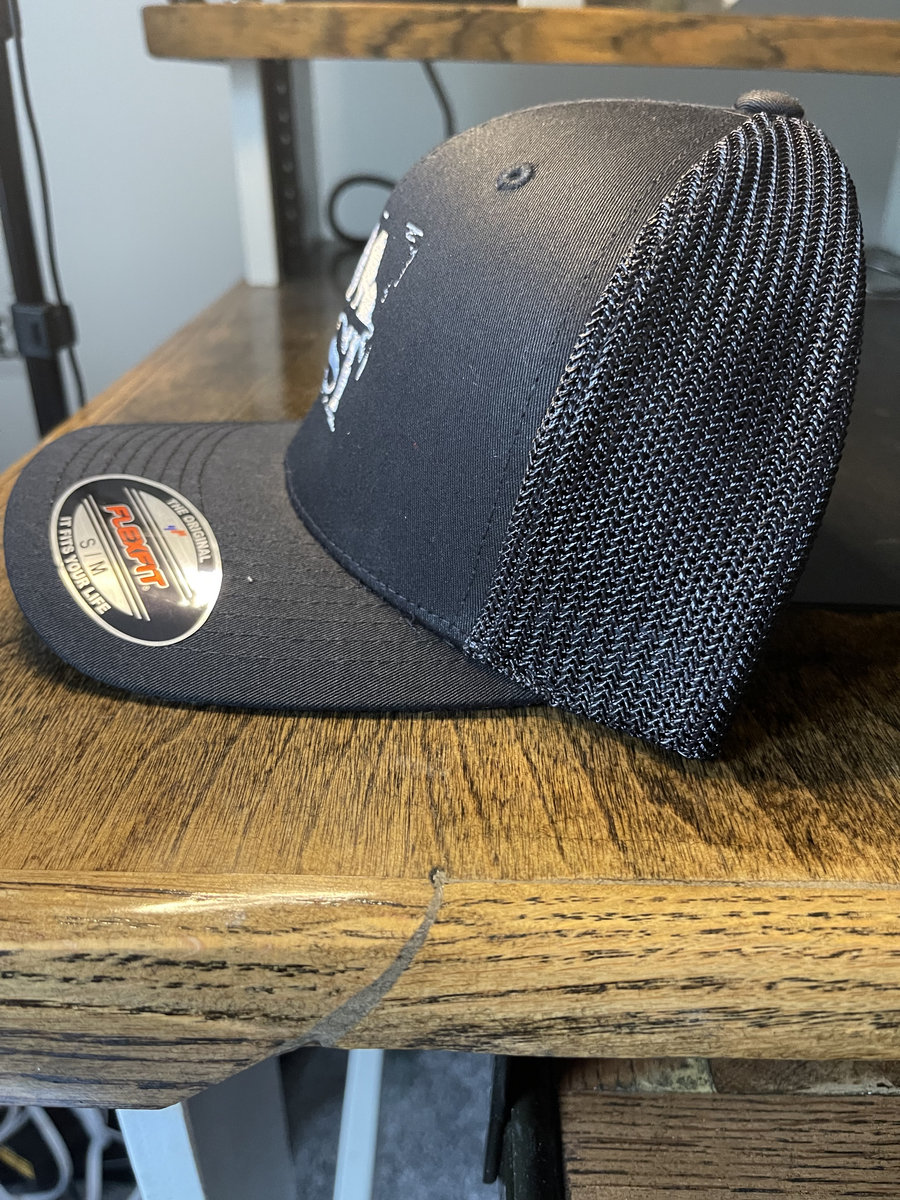 Black FlexFit Logo Hat | Ari Hest