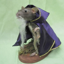 cyber_rat_seraphim's collection | Bandcamp