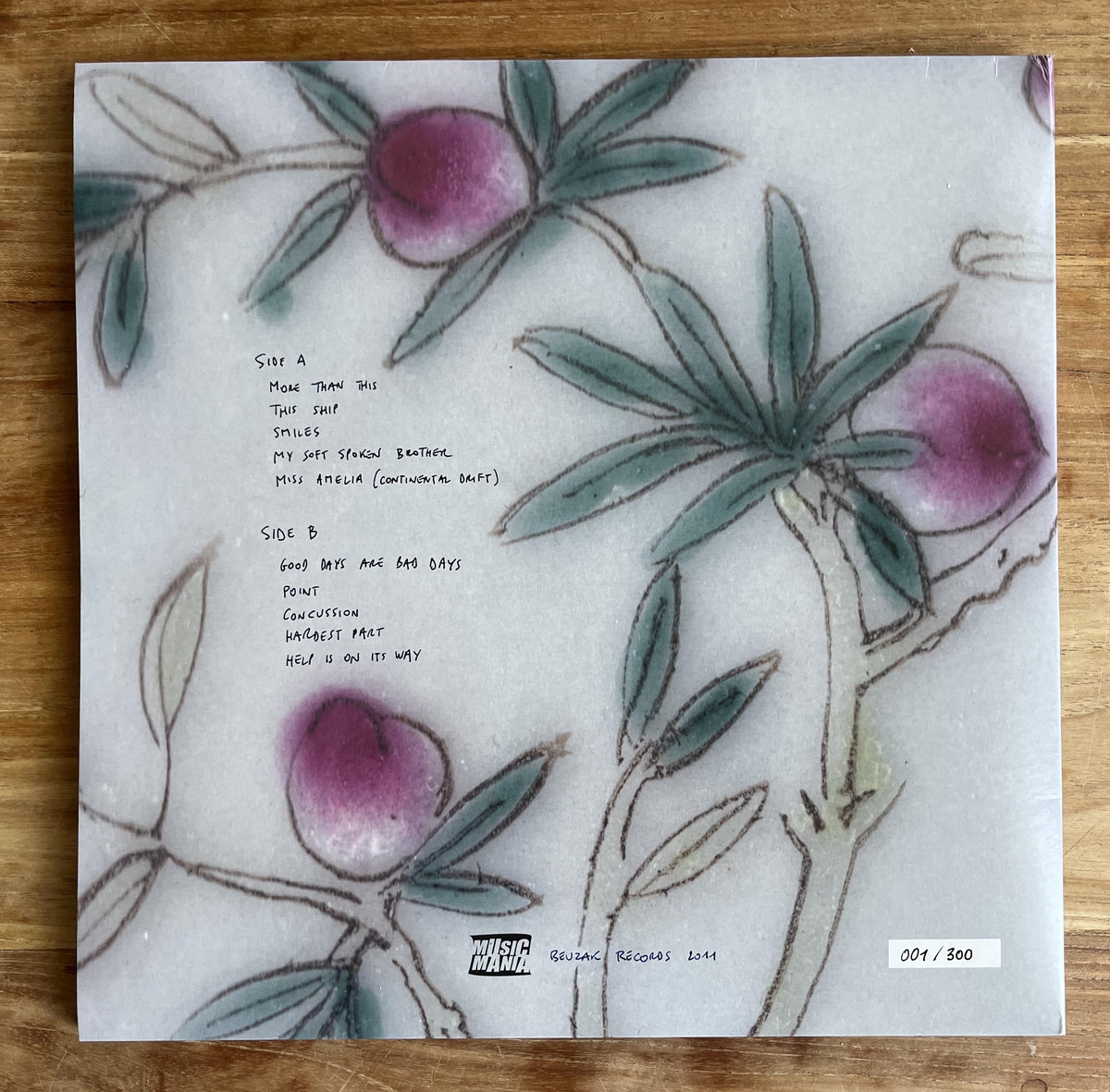 Homebrew | Beuzak | PJDS