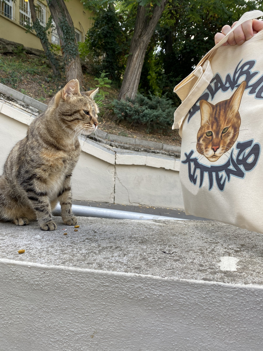 Tünel Kedisi Shopper | istanbul_kittens