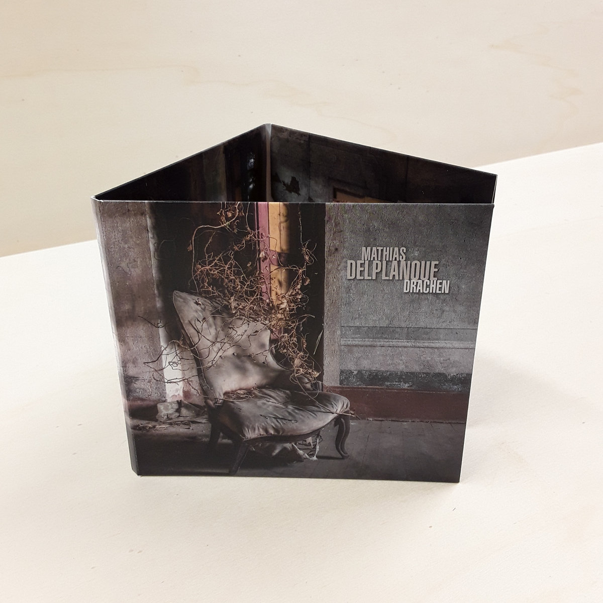 Drachen | Mathias Delplanque