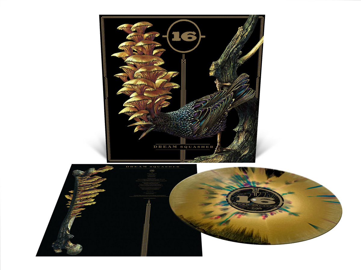 Dream Squasher | 16