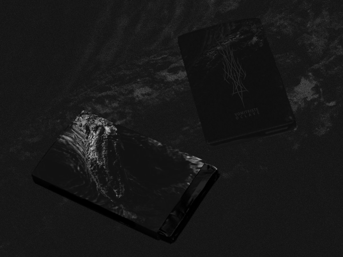 Droneworks (2022-2024) | Vomitriste