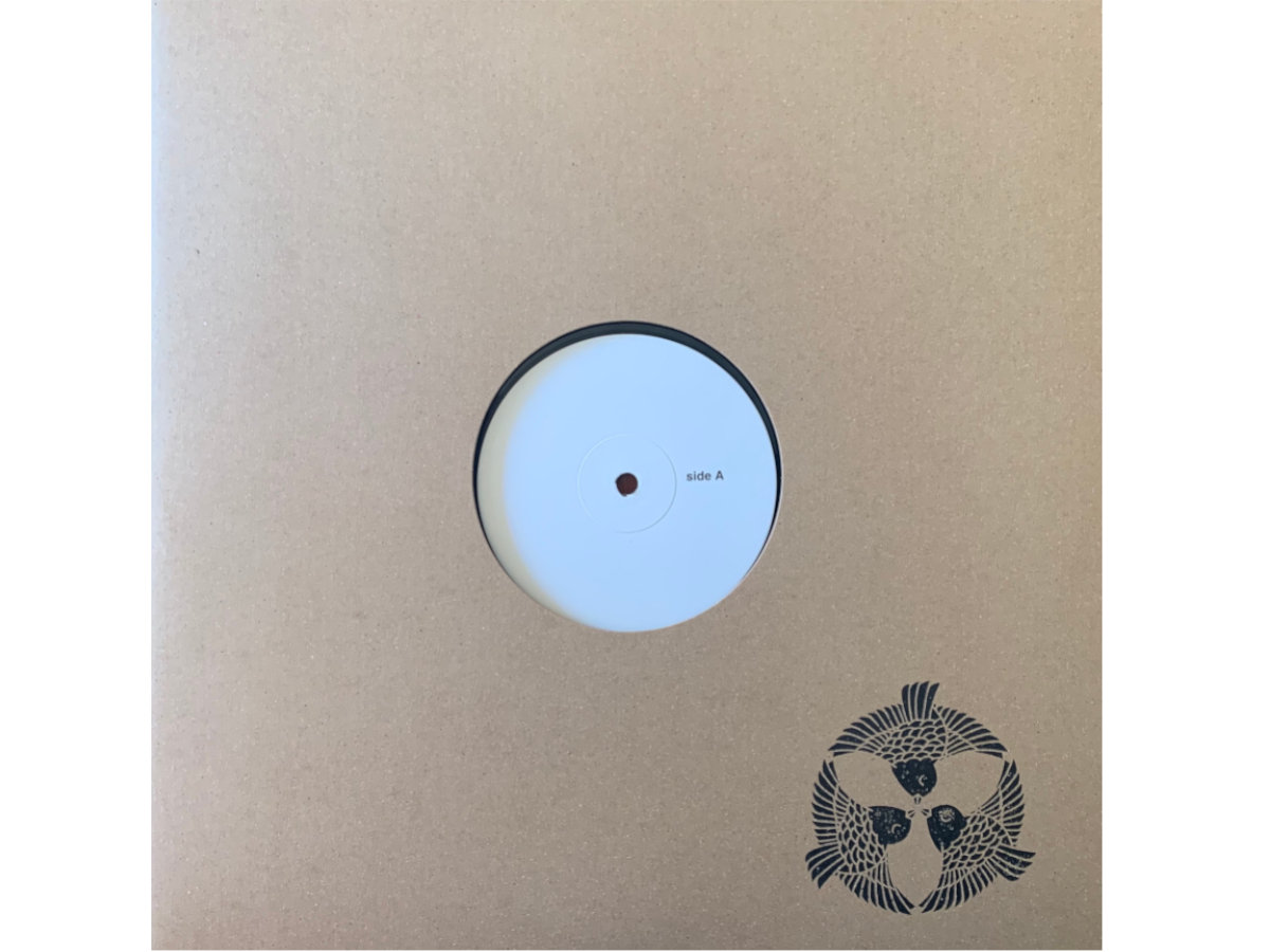 Eric Siday - The Ultra Sonic Perception. Test pressing w/ Art print ...