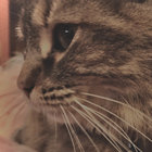 HOPE LEFT ME (Complete Version) | ASTROPHYSICS