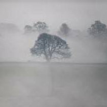 mark_coyle_1969's collection | Bandcamp