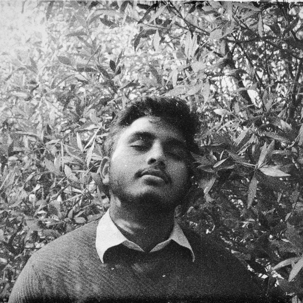 A New Beginning | steven.