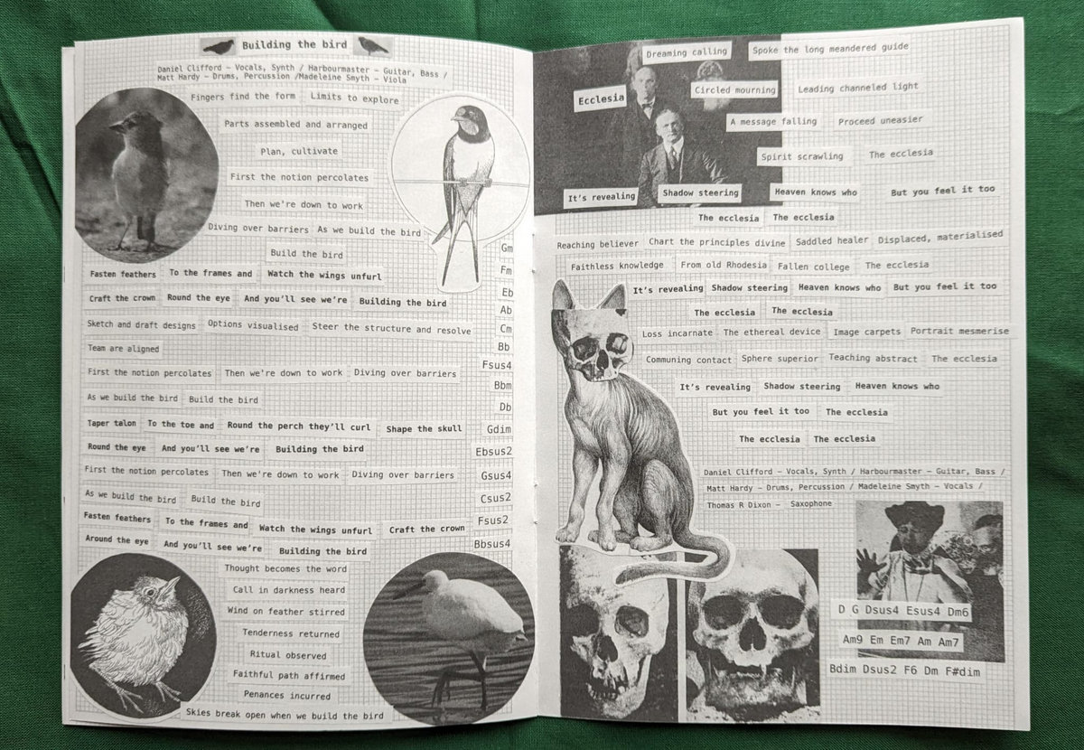 Building the Bird | Amateur Ornithologist