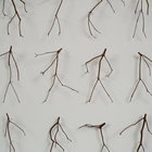 Clay | Herbert & Momoko | Matthew Herbert