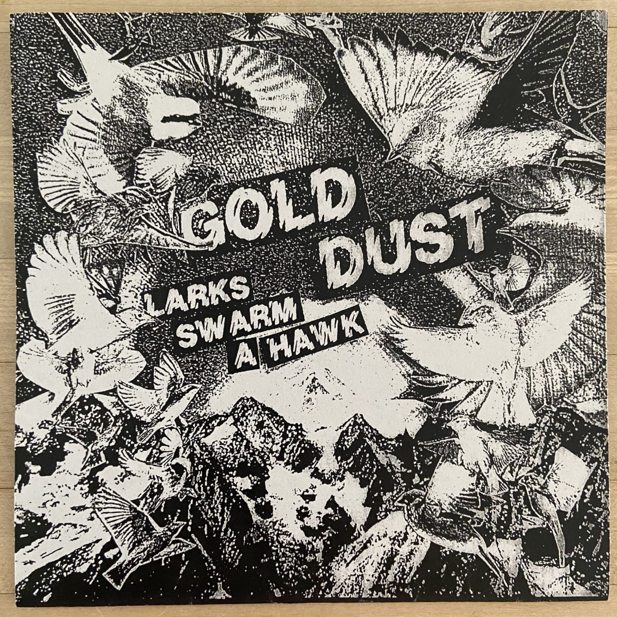 Larks Swarm A Hawk (single) | Gold Dust
