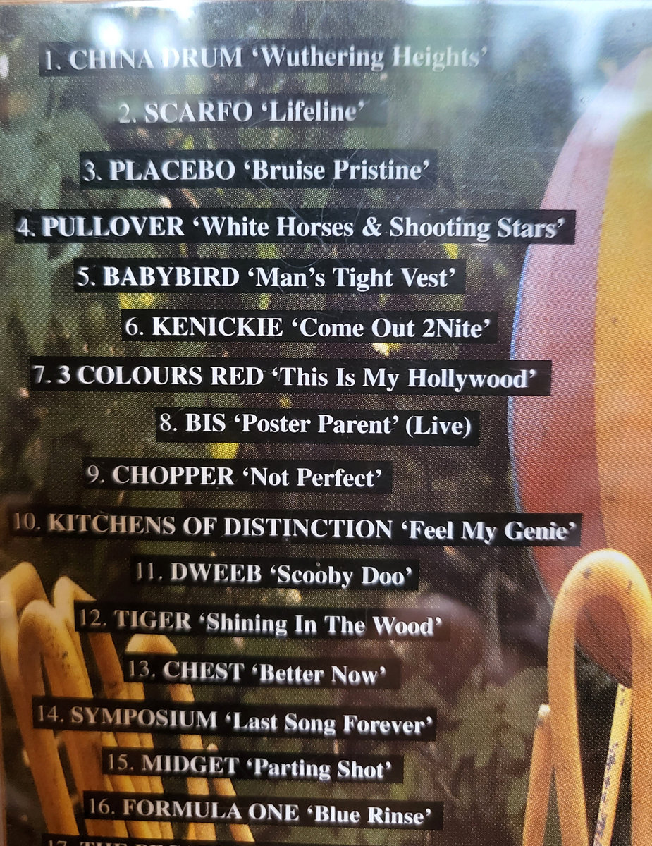 MANS TIGHT VEST on FIERCE PANDA LP | stephen jones