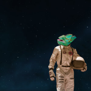 Music | The Space Lizards