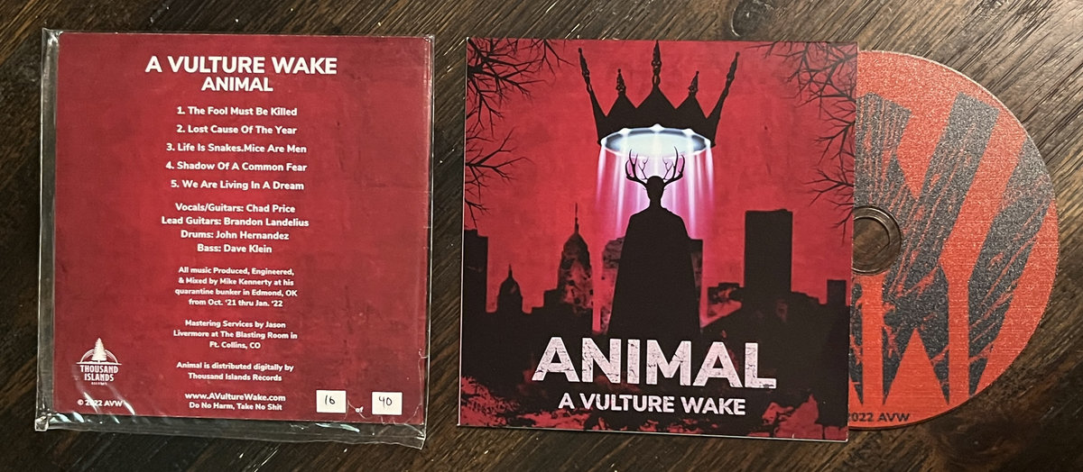 Animal | A Vulture Wake