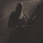 Kingdom | Taranis