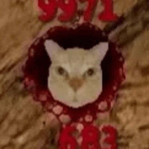 Internet Explorer Is Evil | THNDRPSSY