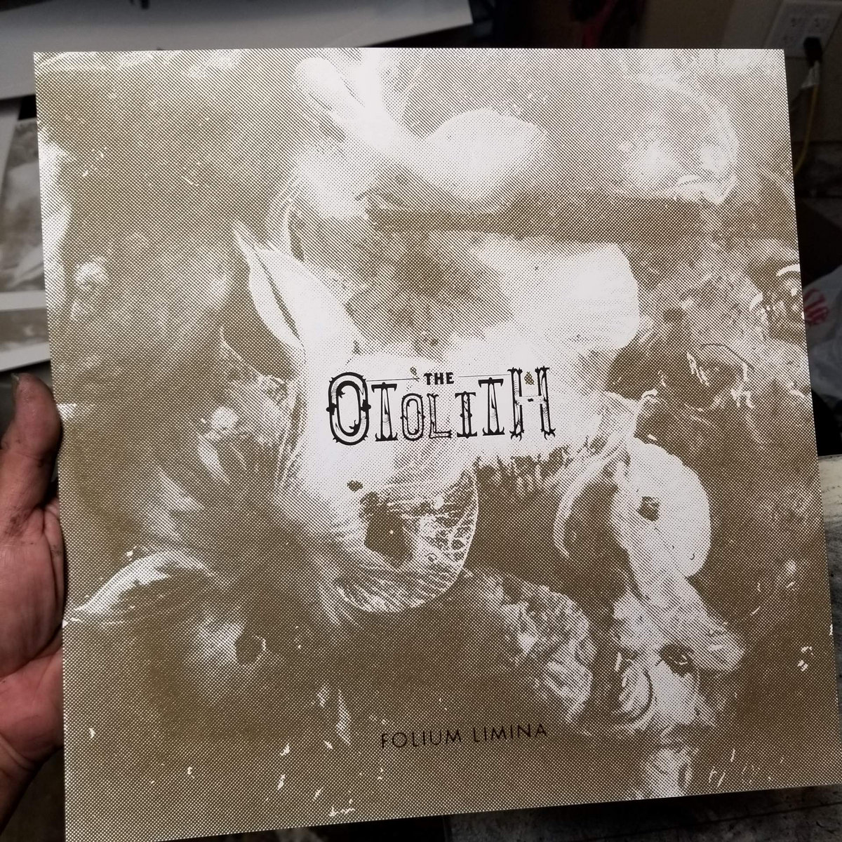 Folium Limina | The Otolith