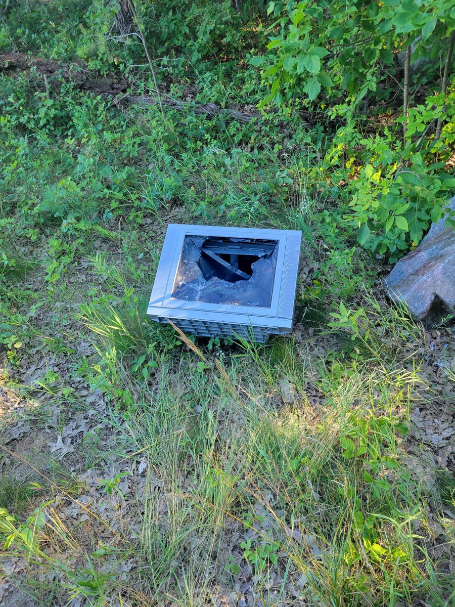 I Gotta Go(demo) | Anatomically Correct Spinosaurus