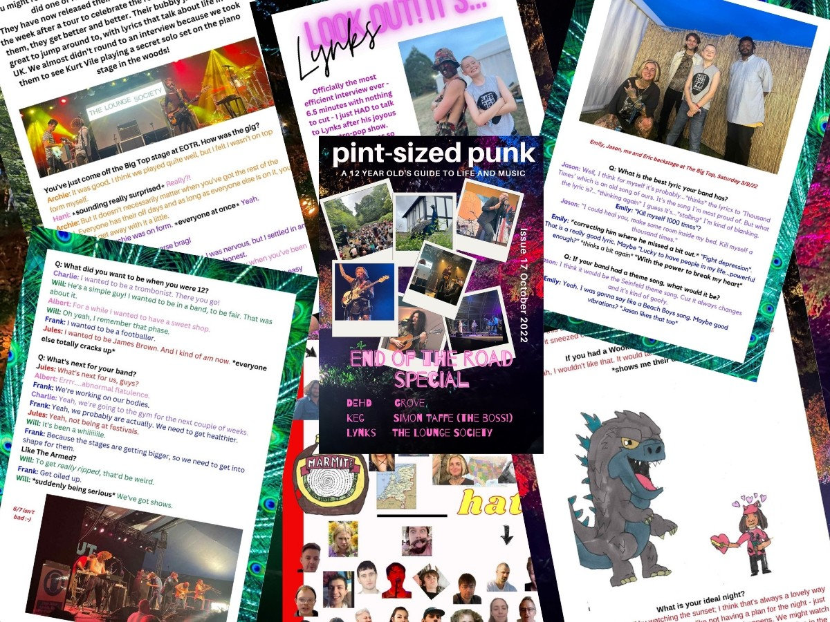 PSP issue 17 | pint-sized punk zine