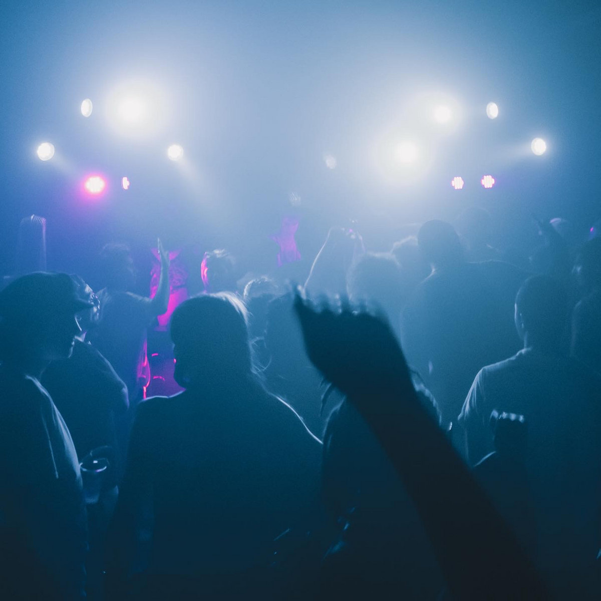 DALE | Certified Groover