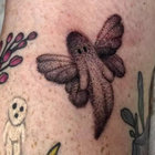 The Cosmic Cornucopia | Slugdge