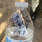 GOODNIGHT HYPNOPOMP | STOMACH BOOK