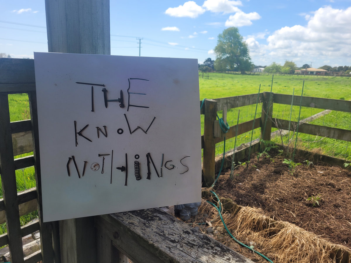 The Know Nothings | The Know Nothings