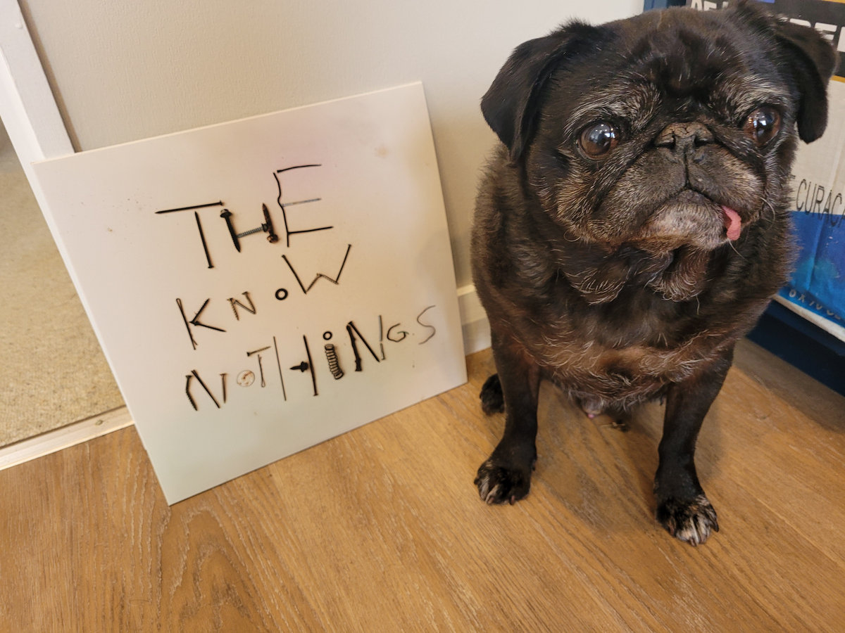 The Know Nothings | The Know Nothings