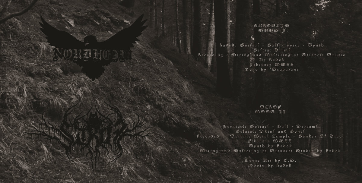 Totes Moos | NORDHEIM