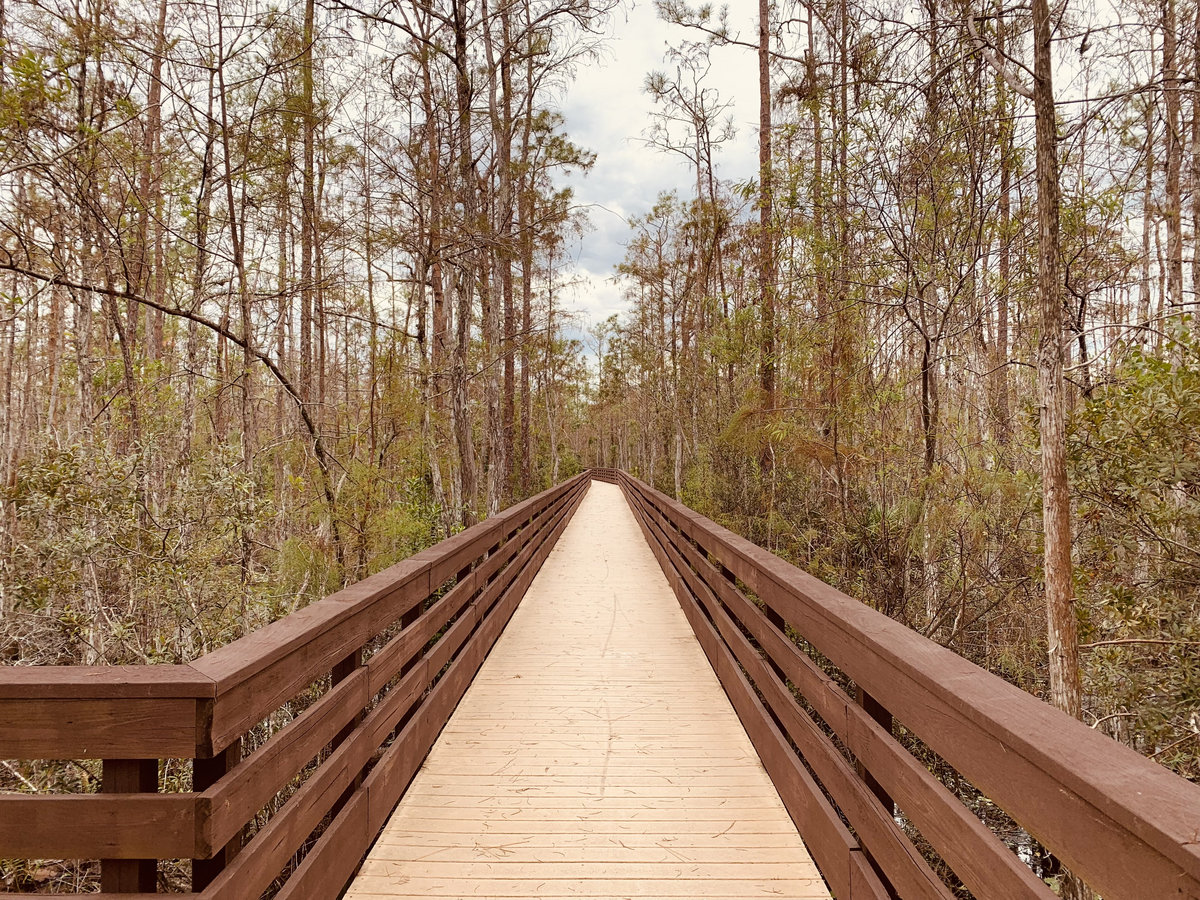 Stagnant memory | Brody Bennett