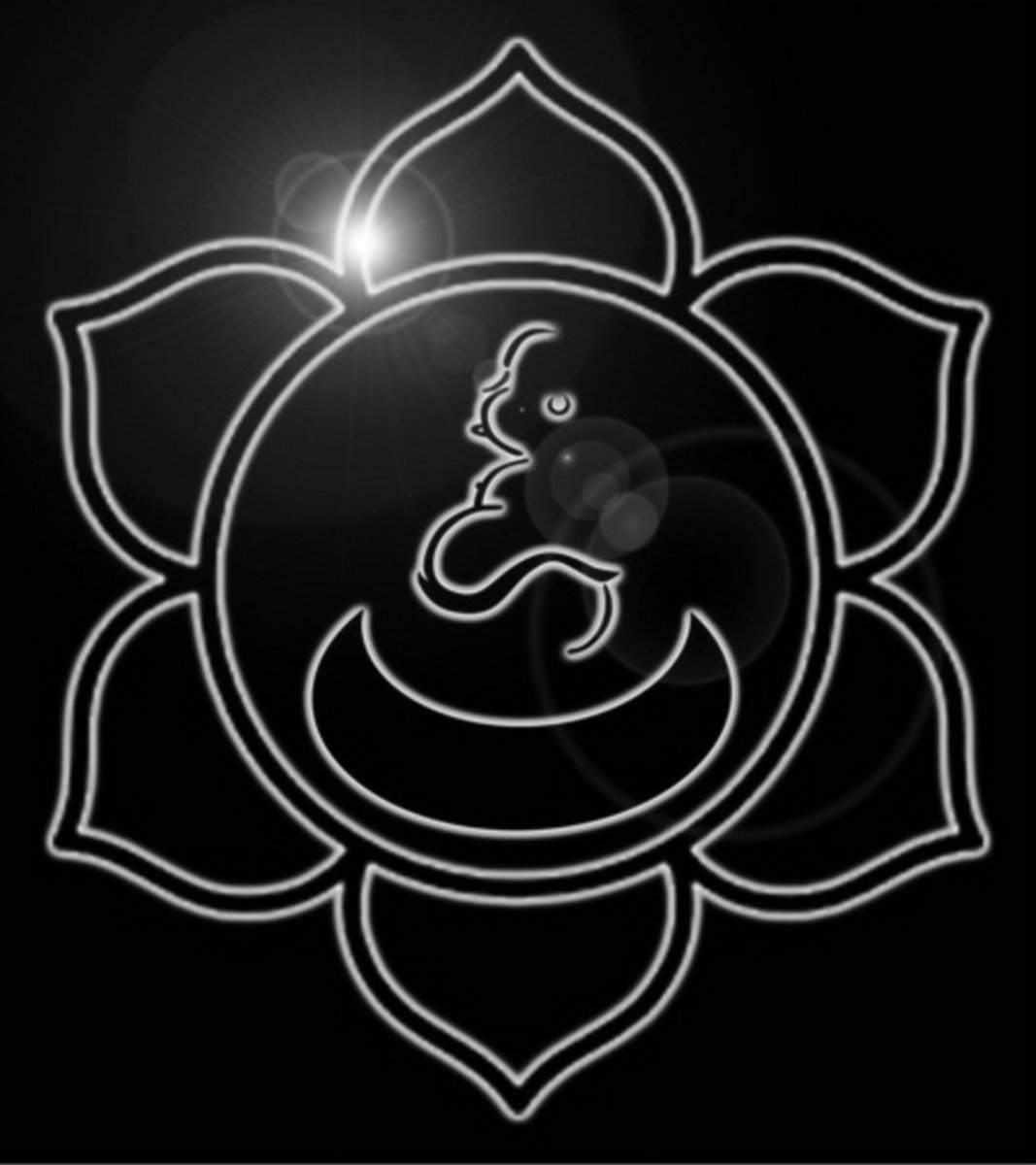 Muddy Roots | The Buddhahood | Melodic Revolution Distribution
