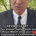 Ꚛrtodoxia III (الولاء) | modest by default