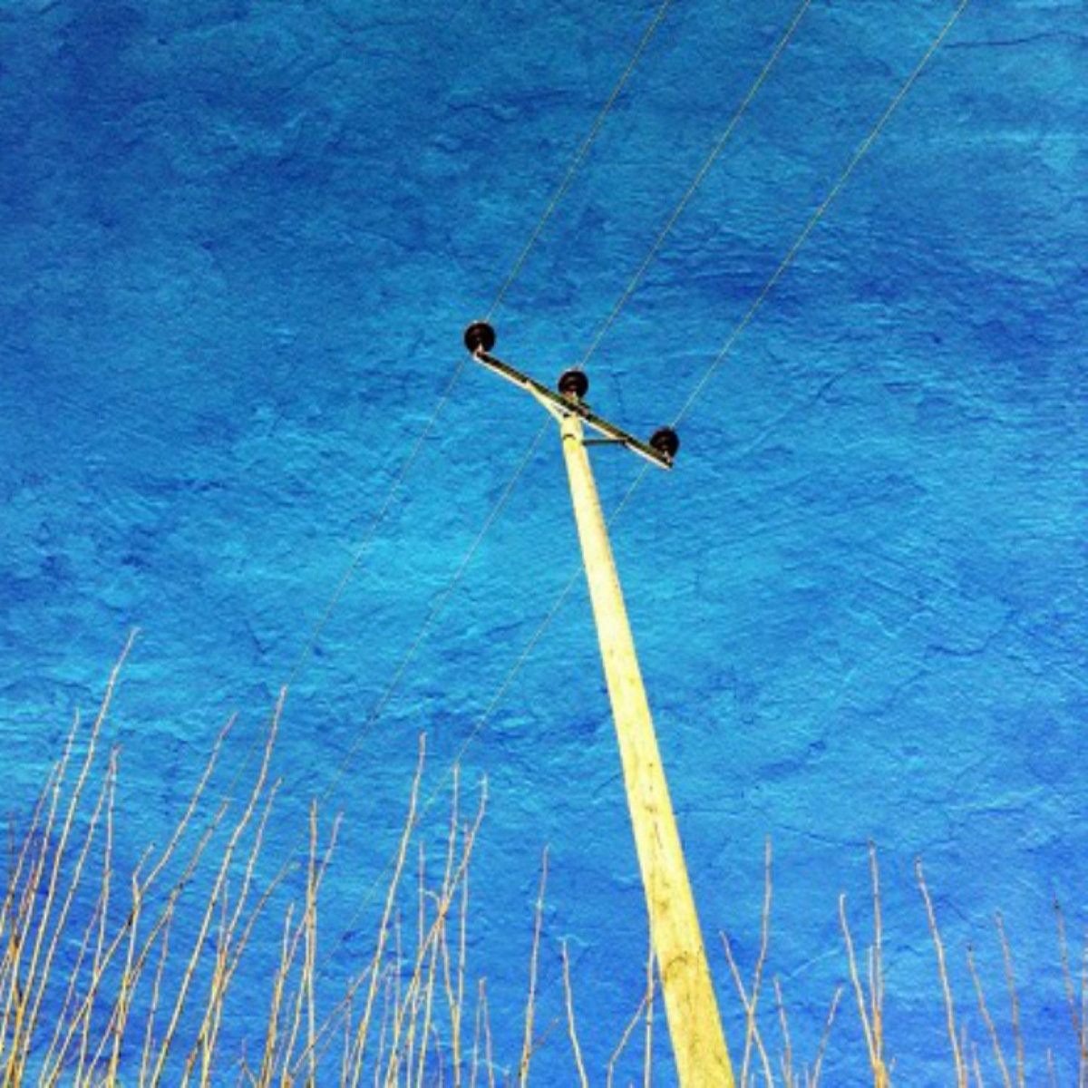 Hey! Wire | Hey! Wire | Monkey See Monkey Do