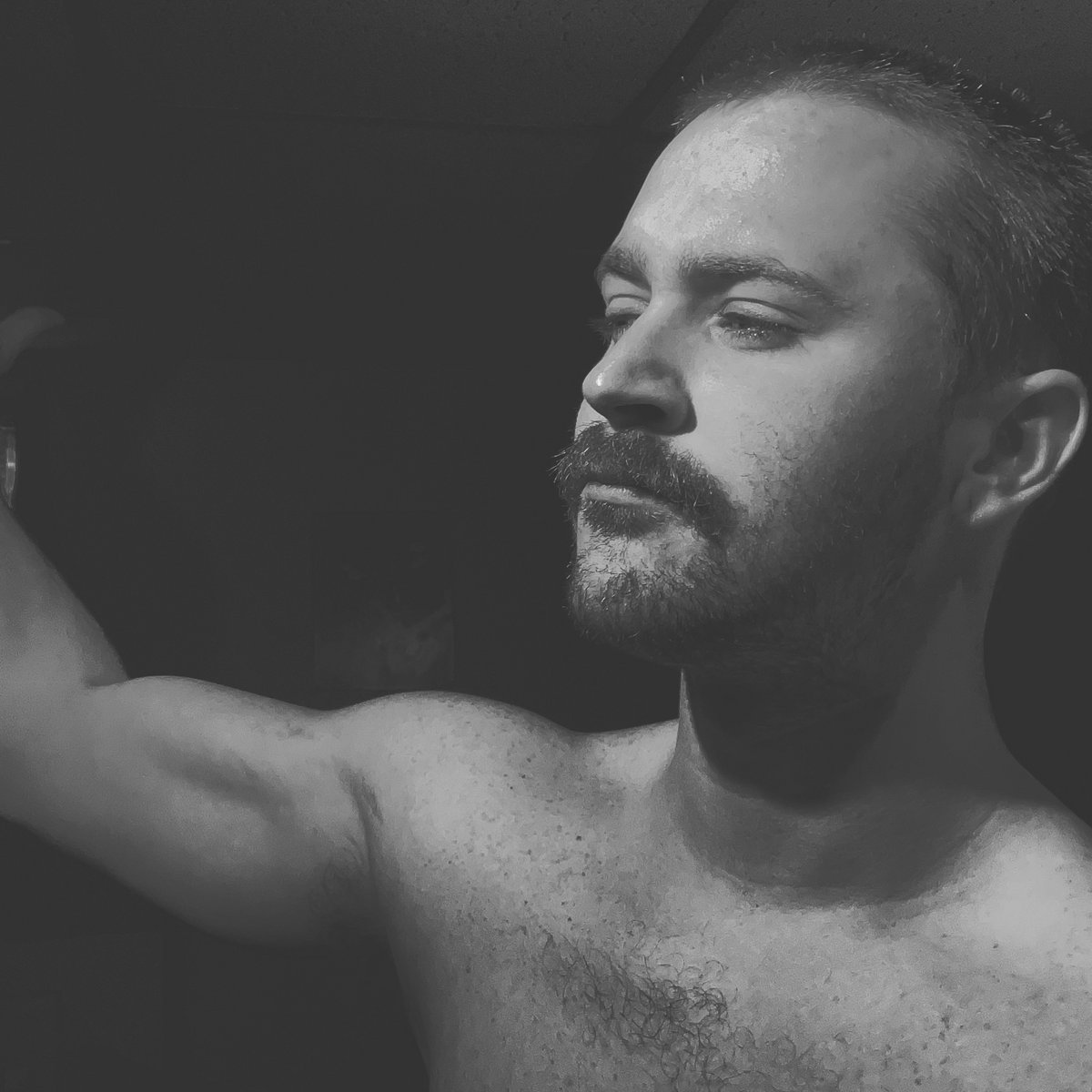 shade | Andrew Letourneau