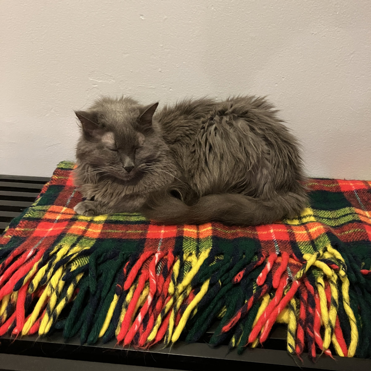 Ted Machine T-Shirt | Lillerne Tapes