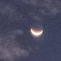 cheesenmochi's collection | Bandcamp