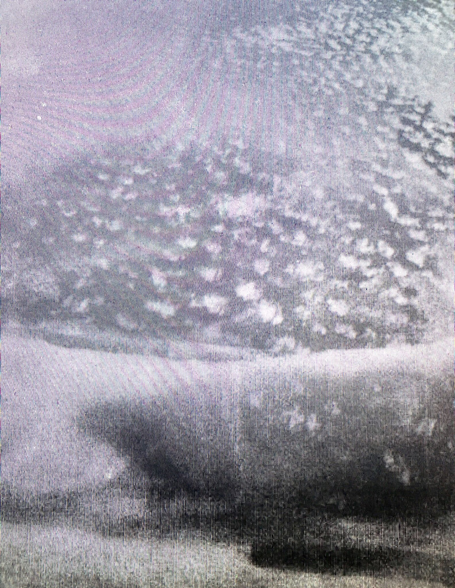 Urania seconda (live cut) | EROB